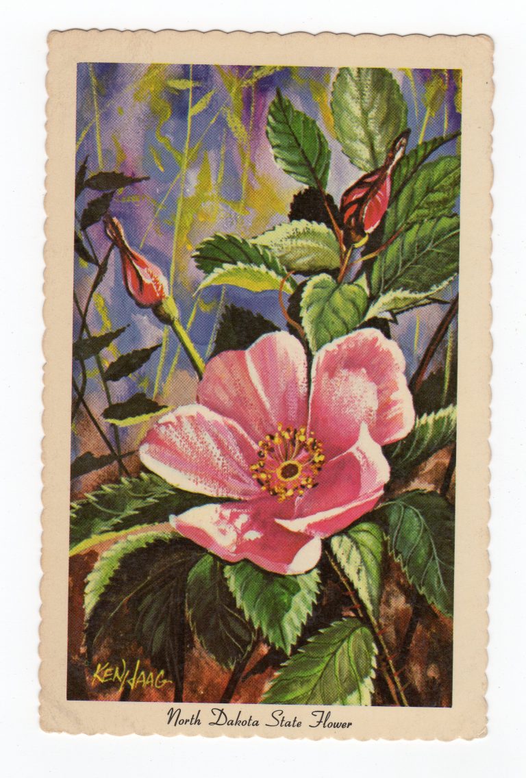 Jackie's Vintage Postcards | Retro and Collectible Postcards