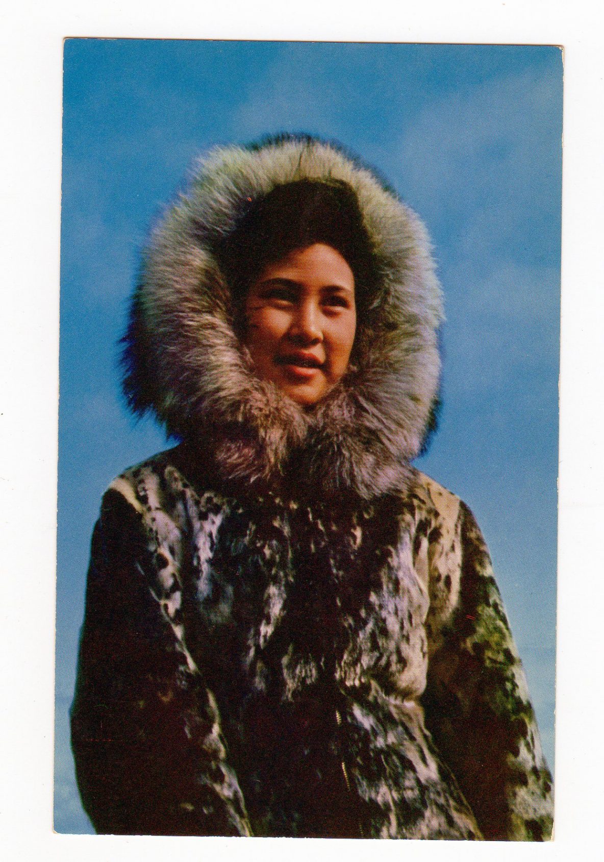 Chrome postcard. Eskimo Girl, wearing gold leopard seal parka with hood ...