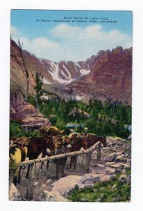 Jackie's Vintage Postcards | Retro and Collectible Postcards