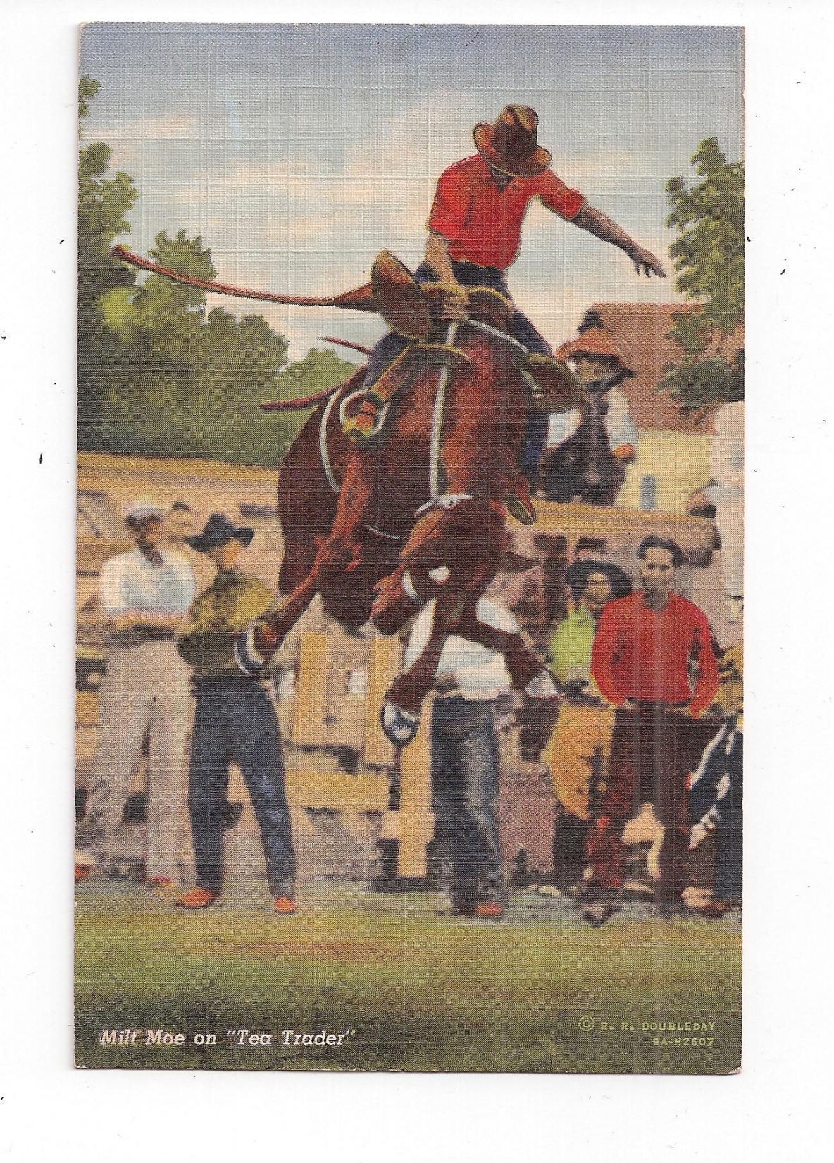Linen postcard. Milt Moe on Tea Trader. Horse, Cowboy, Rodeo. | Jackie ...