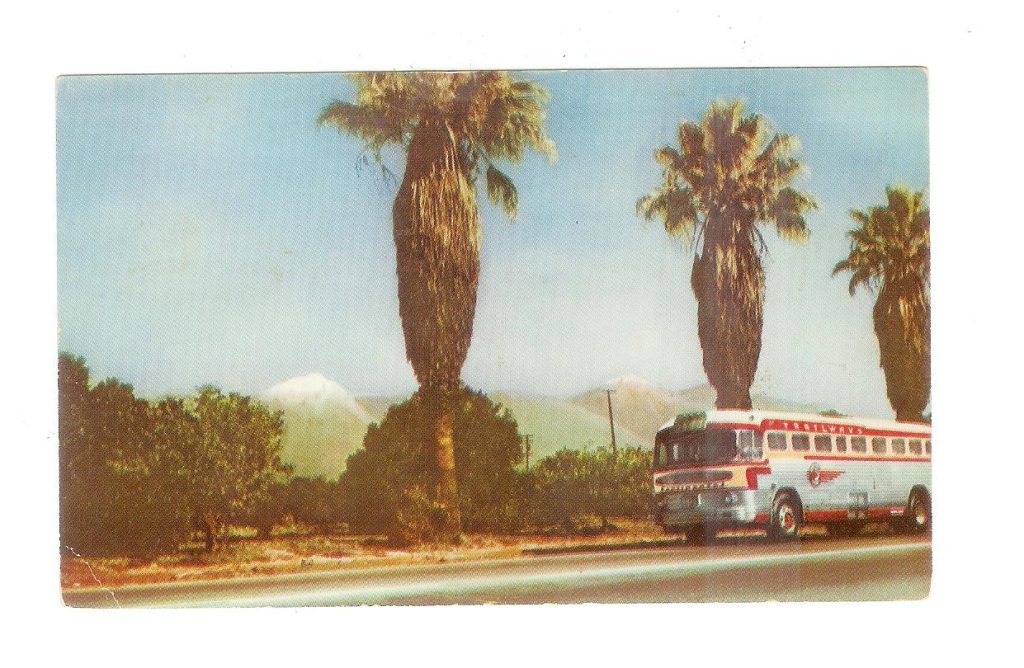 Postcard. Southern California Mount Baldy. Continental Trailways Bus ...