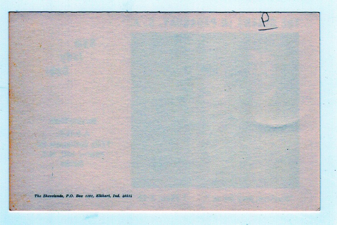 Chrome postcard. The Olsens in Paraguay, Sam, Judi and Debi. Serving ...