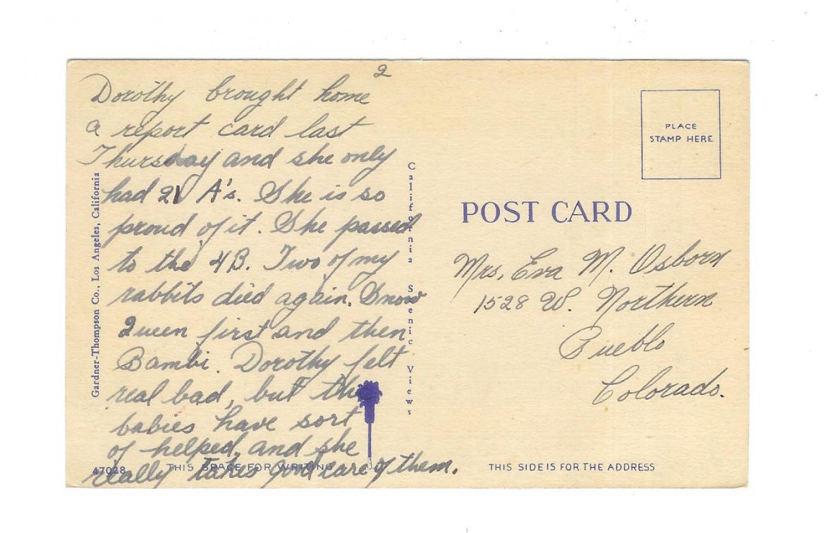 Linen Postcard. Greetings from California. A forest of oil wells in a ...