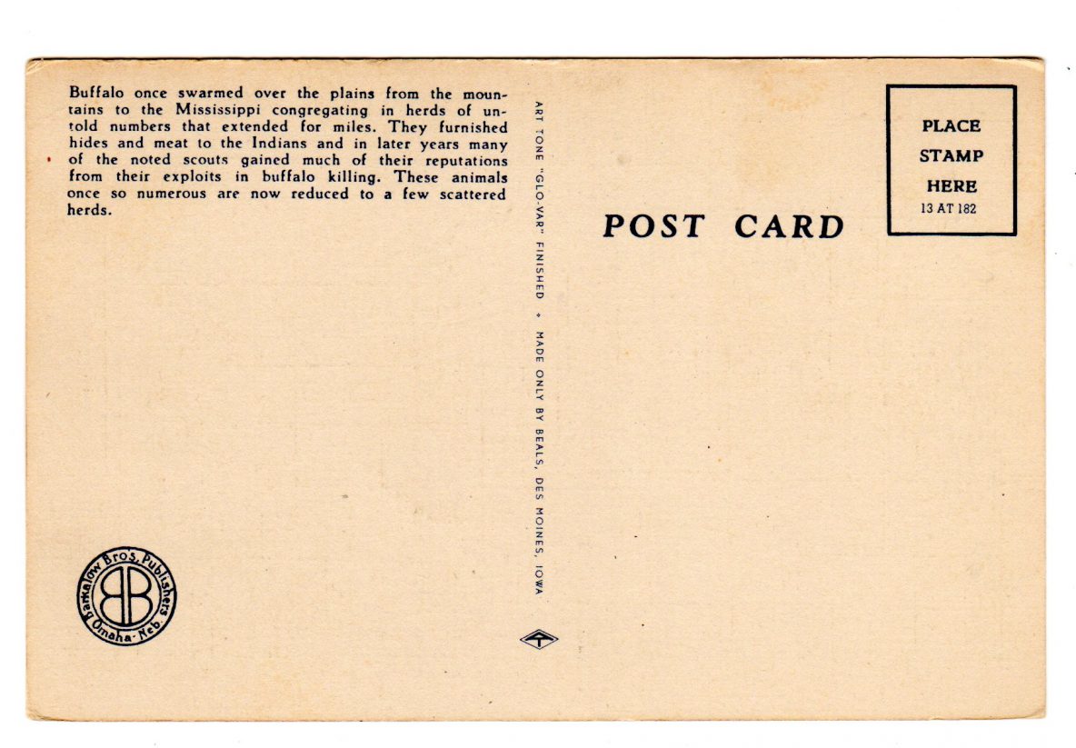 Linen postcard. Buffalo on the plains of the Great West. Remnant of a ...