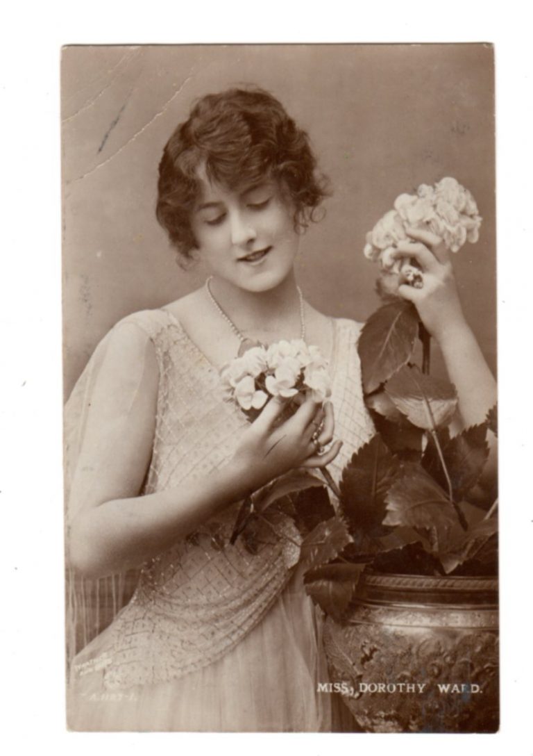 Real photo postcard. Miss Dorothy Ward. British Actress. 1919. | Jackie ...
