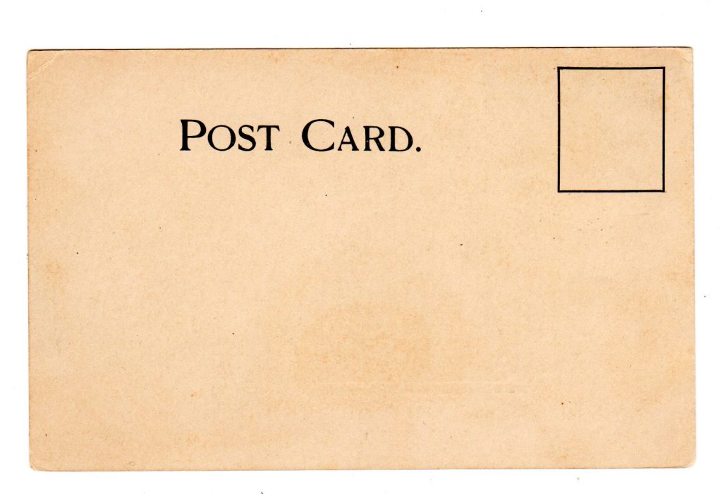 Old postcard. Buffalo Morning Express, Park Zoo Series. Bear. | Jackie ...