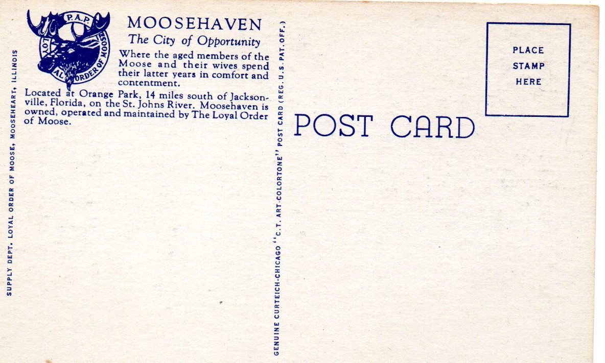 Linen postcard. Empire Building, Moosehaven, Florida. Retirement ...