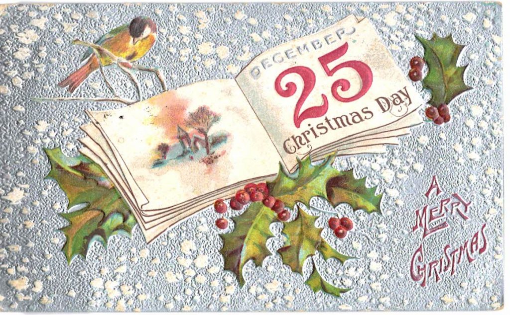 Old postcard. A Merry Christmas. December 25 Christmas Day. Embossed, bird, holly calendar book ...