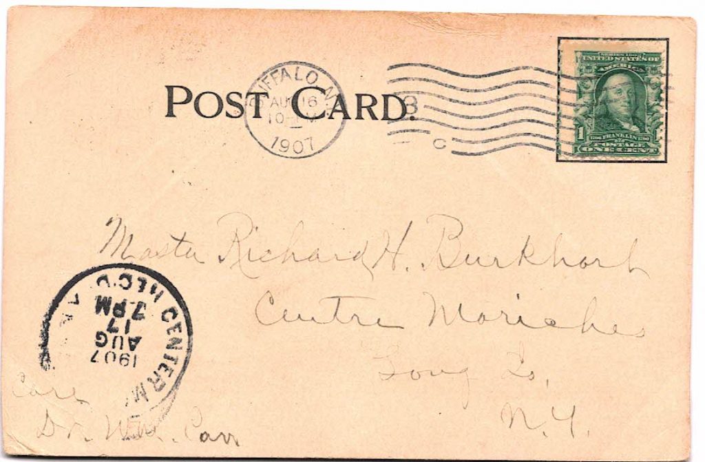 Old postcard. Buffalo Morning Express. Park Zoo Series. Bear, monkey ...
