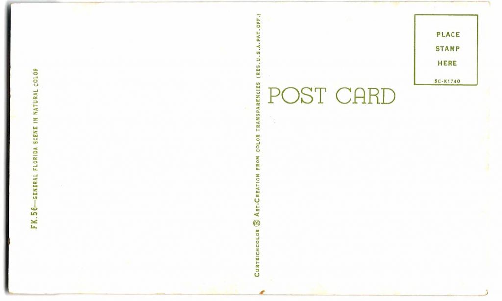 Chrome postcard. Greetings from Florida. The Sunshine State. Beach ...