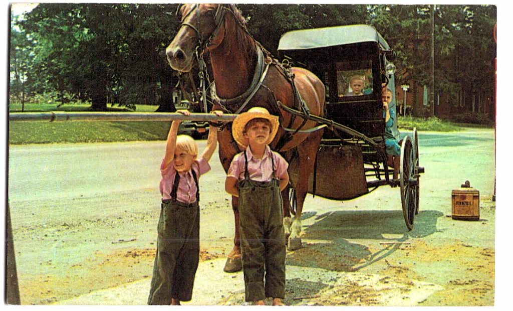 Jackie's Vintage Postcards | Retro and Collectible Postcards