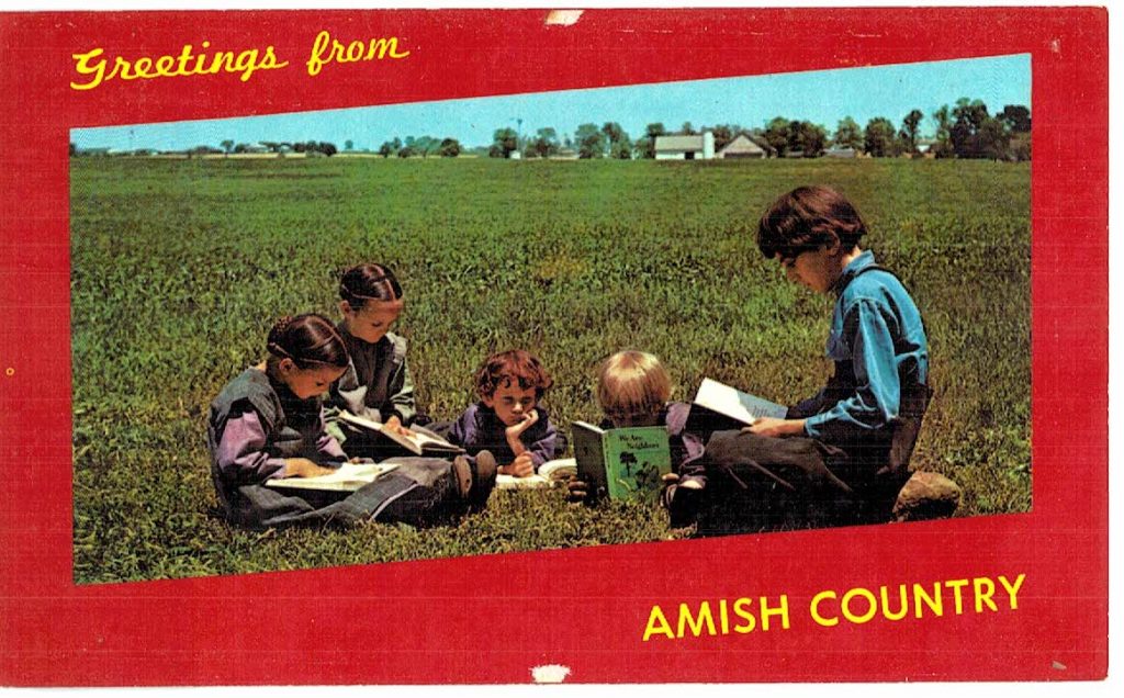 Chrome postcard. Greetings from Amish Country. A Group of Amish ...