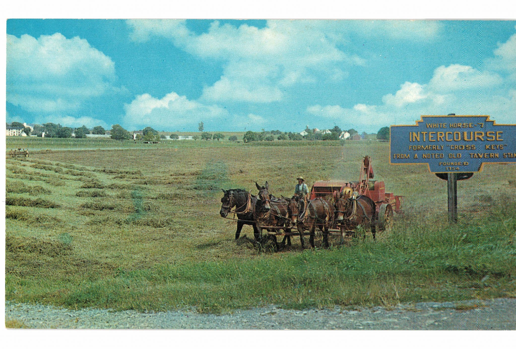 Chrome postcard. Amish Farmer using a modern pick-up baler to harvest ...