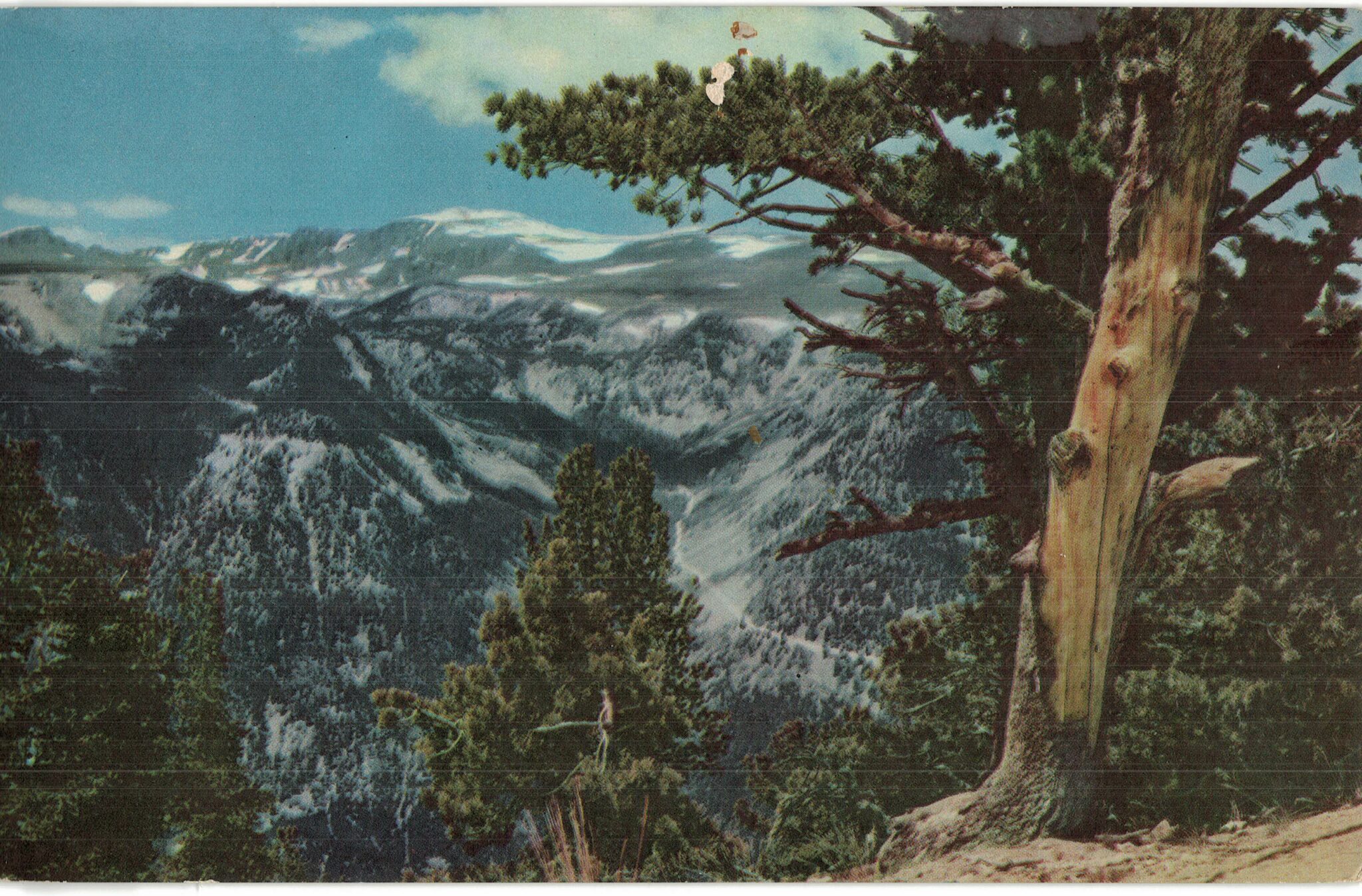 Chrome Postcard. Freedom Trail, Boston, Massachusetts. Map. | Jackie's ...